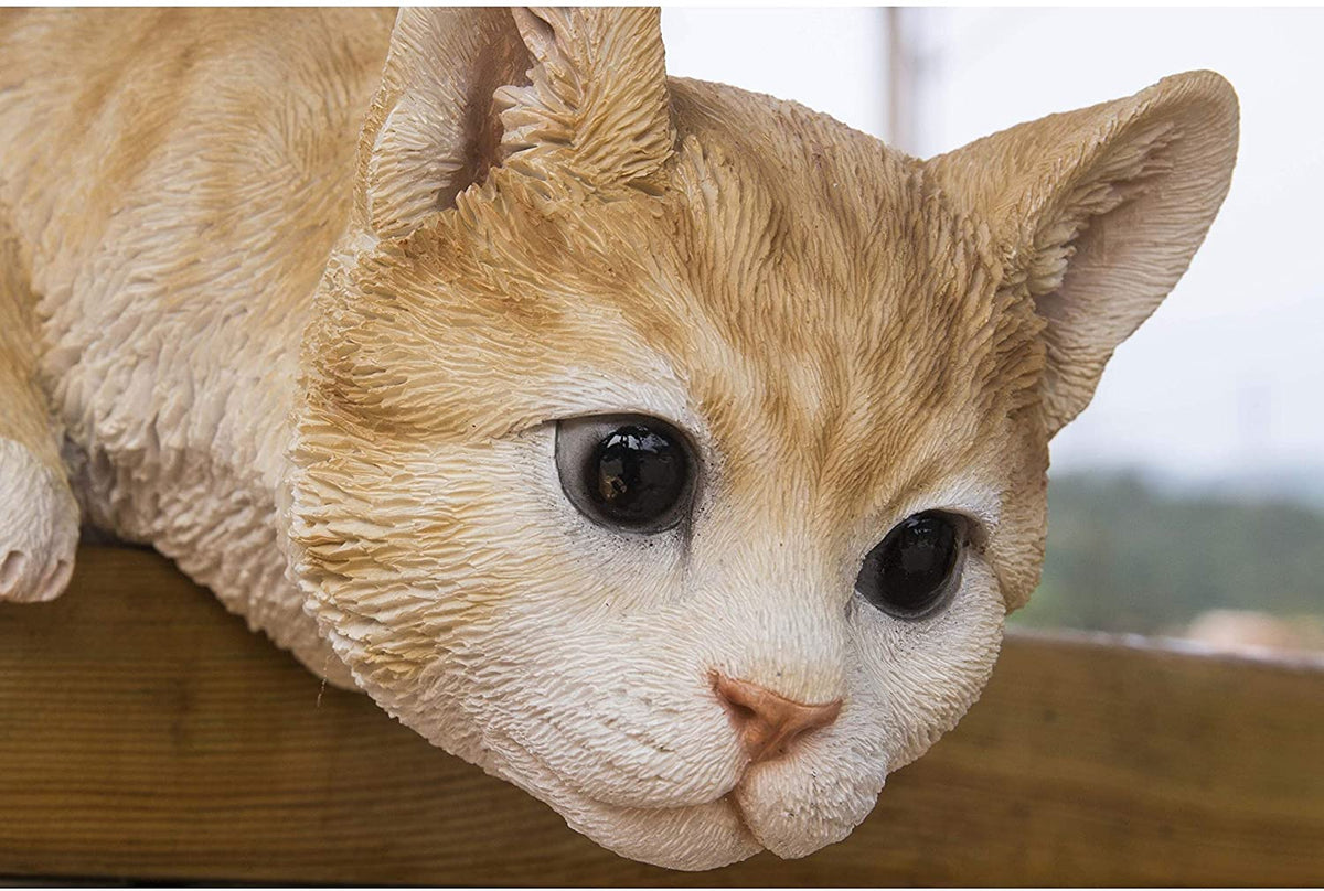 Cat Looking Over Ledge Orange Tabby Polyresin – Diamond Home